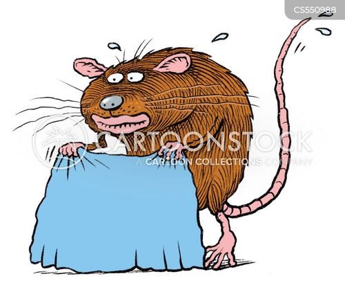 Towel Cartoons and Comics - funny pictures from CartoonStock