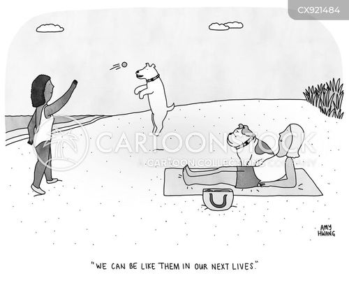 Lazy Owner Cartoons and Comics - funny pictures from CartoonStock