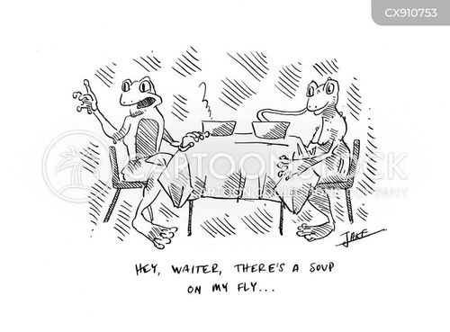 Fly In Soup Cartoons and Comics - funny pictures from CartoonStock