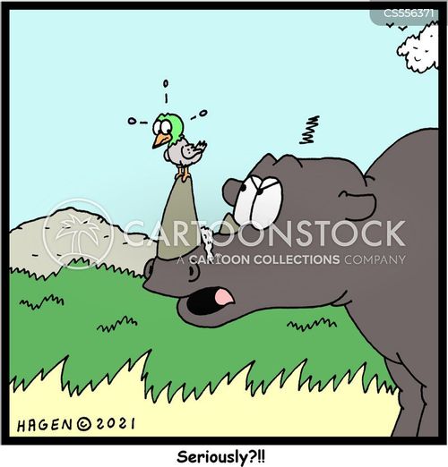 Oxpecker Cartoons and Comics - funny pictures from CartoonStock