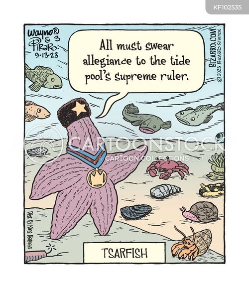 Rock Pool Cartoons and Comics - funny pictures from CartoonStock