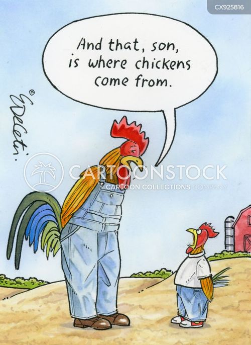 Chick Son Cartoons and Comics - funny pictures from CartoonStock