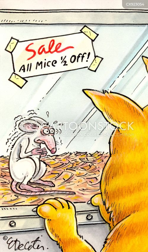 Mice Cartoons and Comics - funny pictures from CartoonStock
