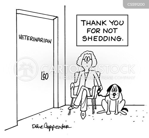 Fur Shedding Cartoons and Comics - funny pictures from CartoonStock