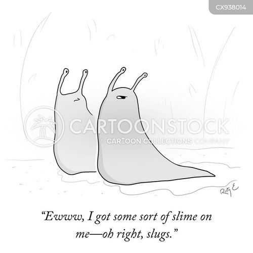 Incongruity Cartoons and Comics - funny pictures from CartoonStock