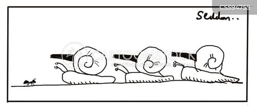 Snail Attack Cartoons and Comics - funny pictures from CartoonStock