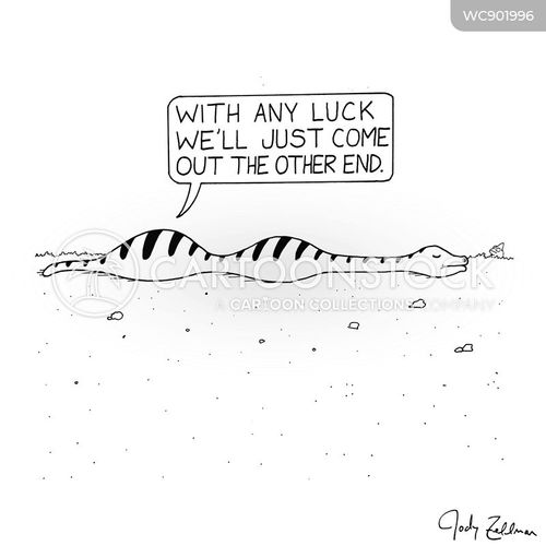 Gastrointestinal System Cartoons and Comics - funny pictures from ...