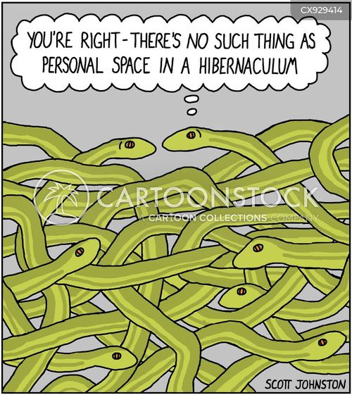 Reptile Hibernation Cartoons and Comics - funny pictures from CartoonStock