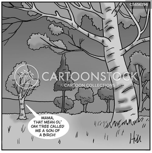 Oak Versus Birch Cartoons and Comics - funny pictures from CartoonStock