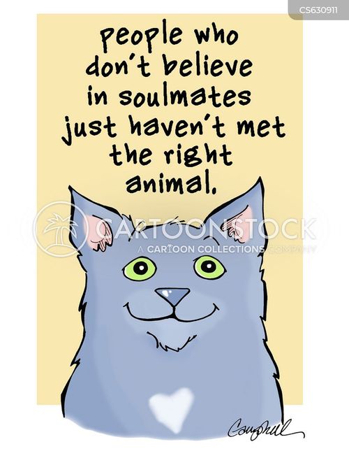 Animal Soulmate Cartoons and Comics - funny pictures from CartoonStock