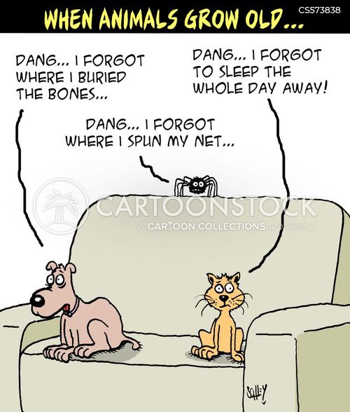 Absent Mind Cartoons and Comics - funny pictures from CartoonStock