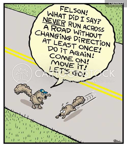 Road Lesson Cartoons and Comics - funny pictures from CartoonStock