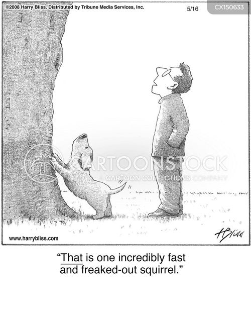 Squirrel Cartoons and Comics - funny pictures from CartoonStock