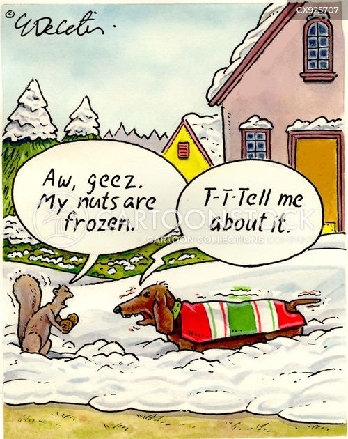 Cold Snap Conversation Cartoons and Comics - funny pictures from ...