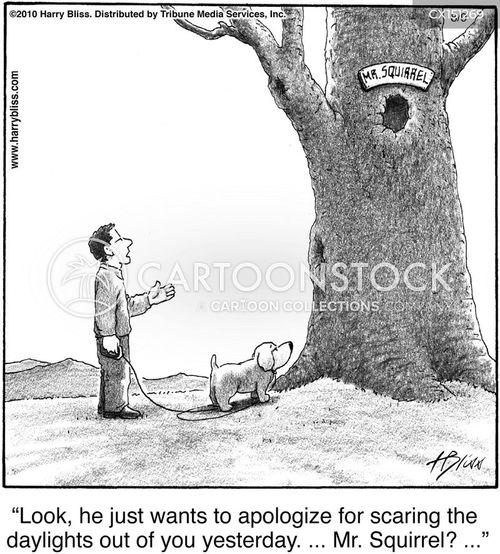 Squirrel Cartoons and Comics - funny pictures from CartoonStock