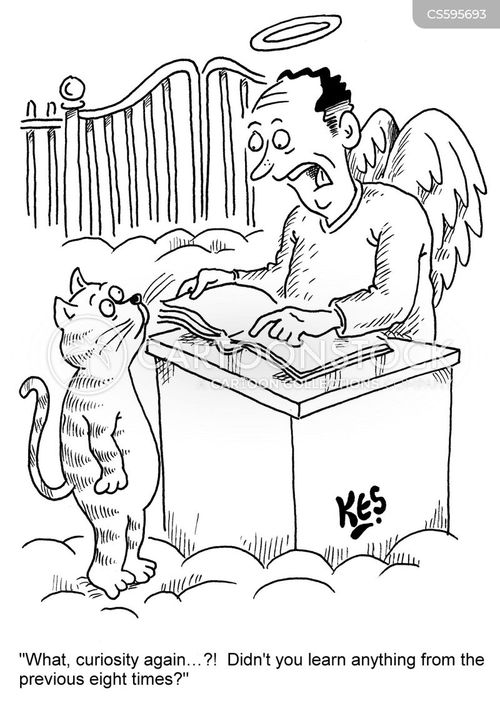 Curiosity Killed The Cat Cartoons and Comics - funny pictures from ...