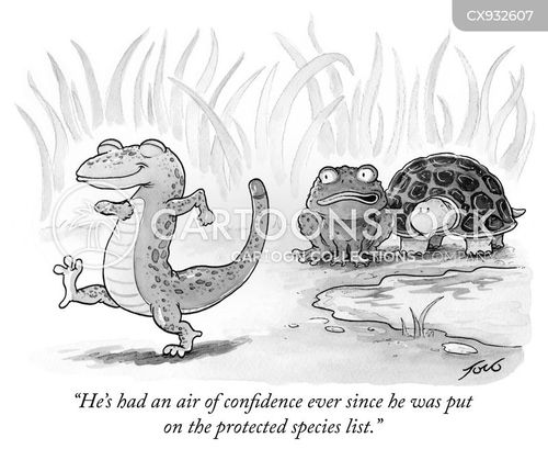 Habitat Preservation Cartoons and Comics - funny pictures from CartoonStock