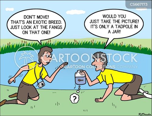 Tadpole In A Jar Cartoons and Comics - funny pictures from CartoonStock