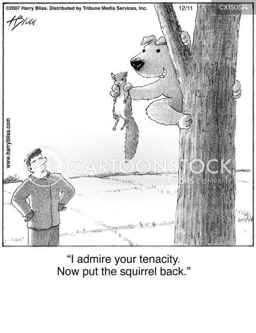 Squirrel Cartoons and Comics - funny pictures from CartoonStock
