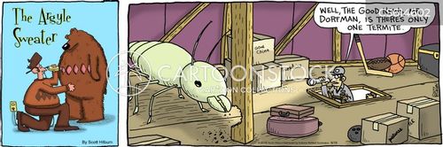 One Termite Cartoons and Comics - funny pictures from CartoonStock