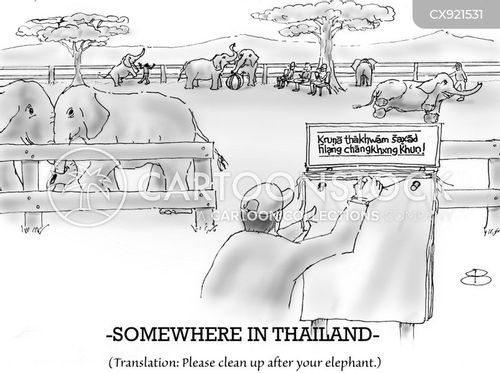 Elephant Poo Cartoons and Comics - funny pictures from CartoonStock