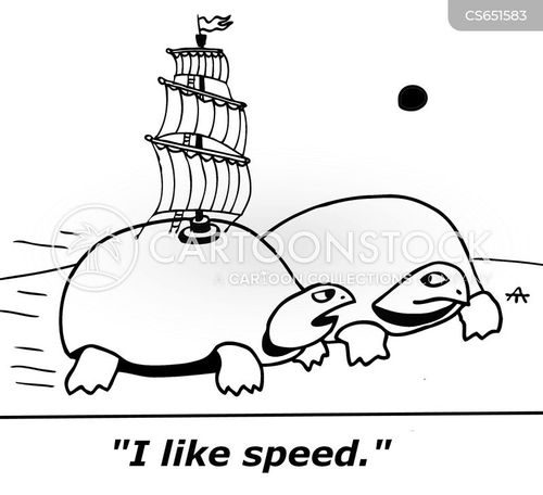 Fast Tortoise Cartoons and Comics - funny pictures from CartoonStock