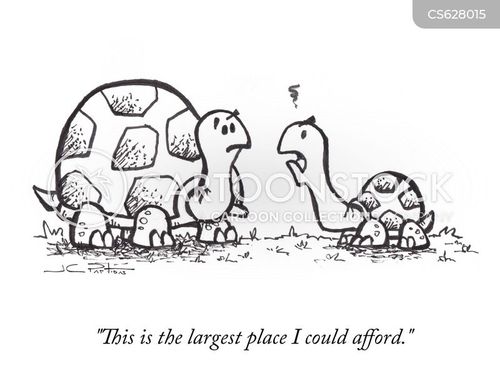 Housing Size Cartoons and Comics - funny pictures from CartoonStock