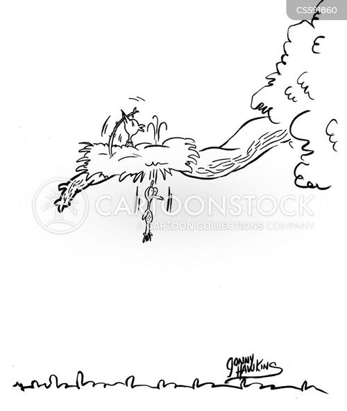 Fled The Nest Cartoons and Comics - funny pictures from CartoonStock
