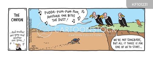 Predatory Birds Cartoons and Comics - funny pictures from CartoonStock