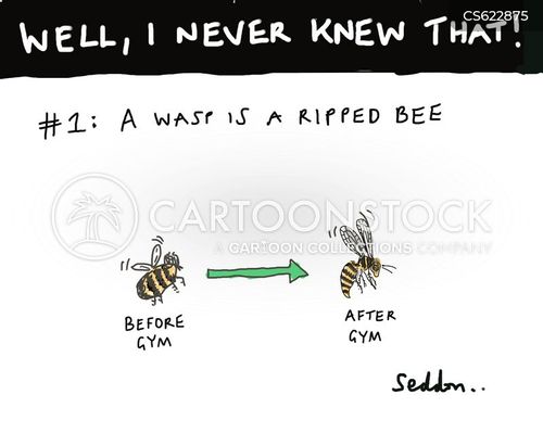 Wasp Attack Memes