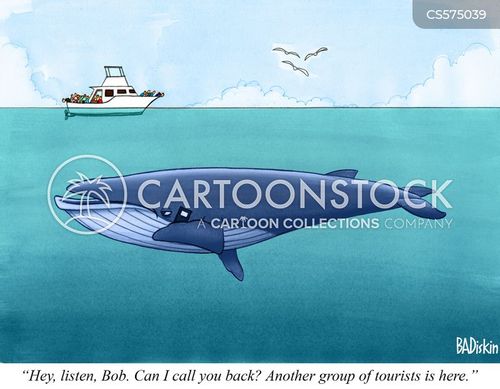 Watching Whales Cartoons and Comics - funny pictures from CartoonStock