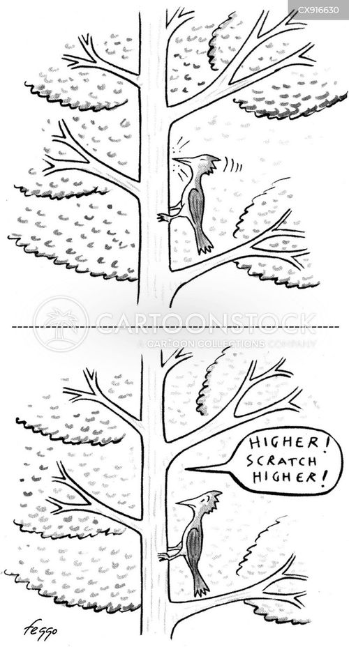 Itch Relief Cartoons and Comics - funny pictures from CartoonStock