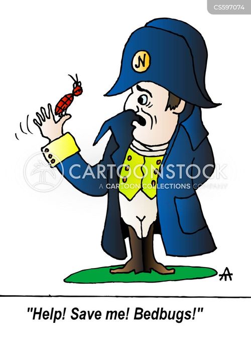 Bedbugs Cartoons and Comics - funny pictures from CartoonStock