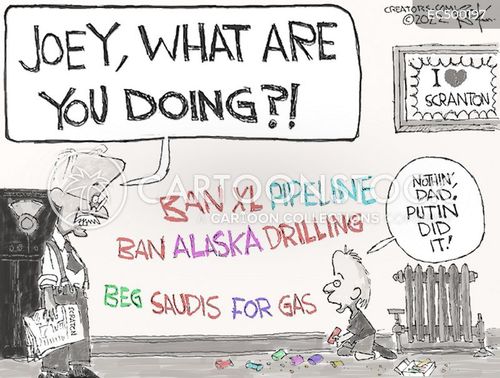 Blame Putin Cartoons and Comics - funny pictures from CartoonStock