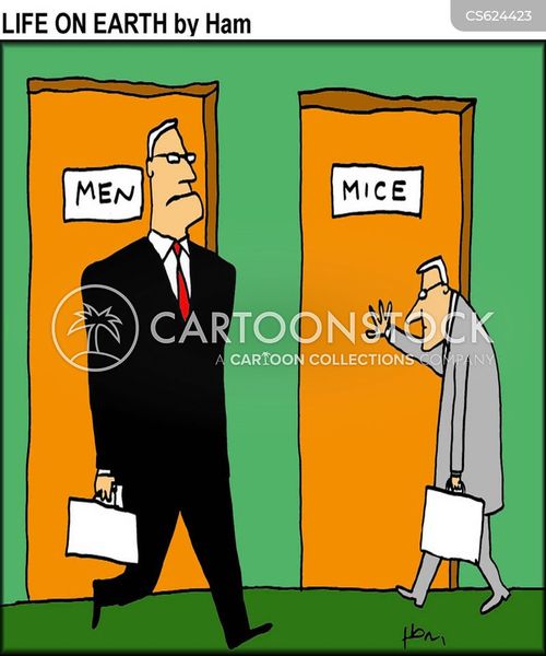 Self-assurance Cartoons and Comics - funny pictures from CartoonStock
