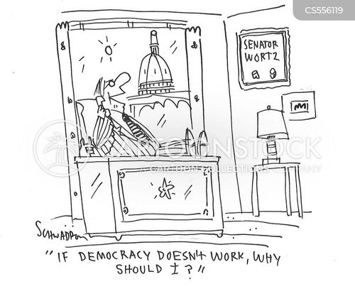 Democratic Processes Cartoons and Comics - funny pictures from CartoonStock