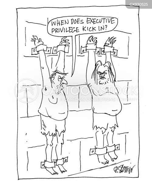 Presidential Limit Cartoons and Comics - funny pictures from CartoonStock