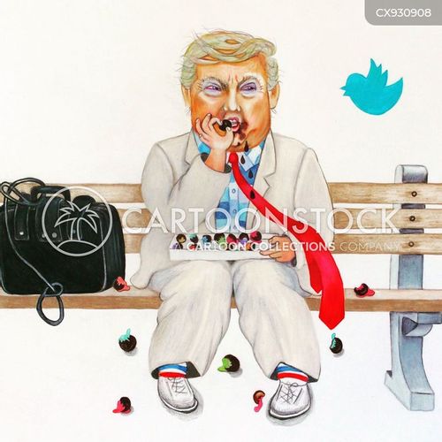 Forrest Cartoons and Comics - funny pictures from CartoonStock