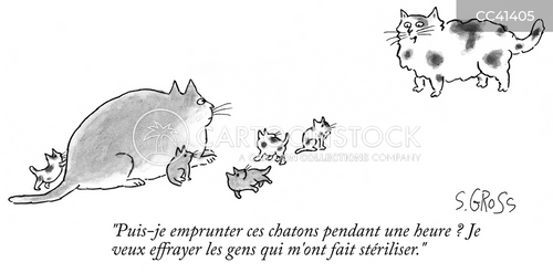 Dessins humoristique et caricaturés avec Chatons
