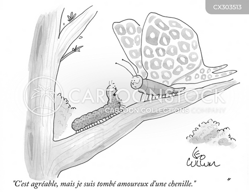 Dessins humoristique et caricaturés avec Chenille