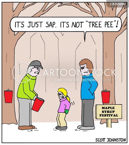 Maple Forest Cartoons and Comics - funny pictures from CartoonStock