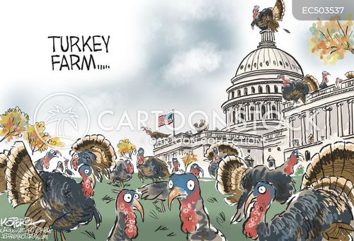 Congressional Turkey Cartoons and Comics - funny pictures from CartoonStock
