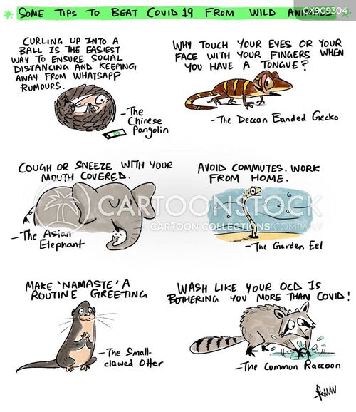 Survival Guide Cartoons and Comics - funny pictures from CartoonStock