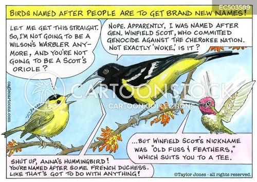 Annas Hummingbird Cartoons and Comics - funny pictures from CartoonStock