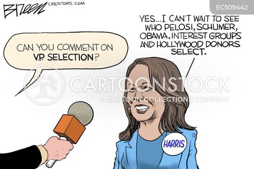Vice Presidential Selection Process Cartoons and Comics - funny ...