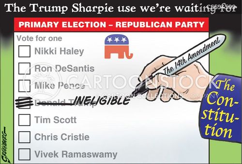 Presidential Election 2024 Cartoons and Comics - funny pictures from ...
