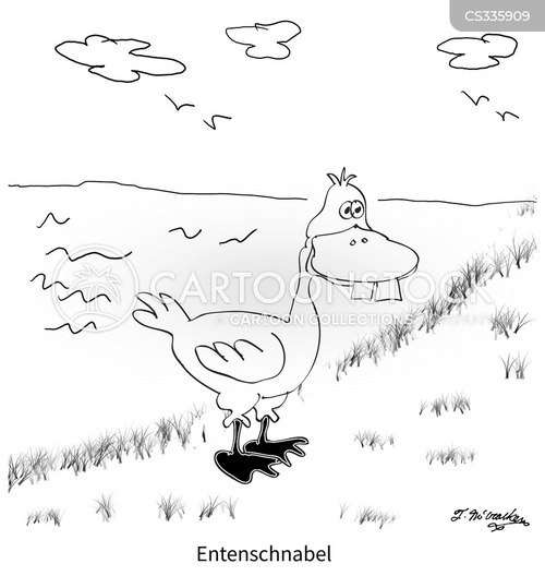 Cartoons und Karikaturen mit Ente