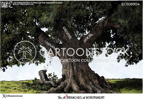 Three Branches Of Government Cartoons and Comics - funny pictures from ...