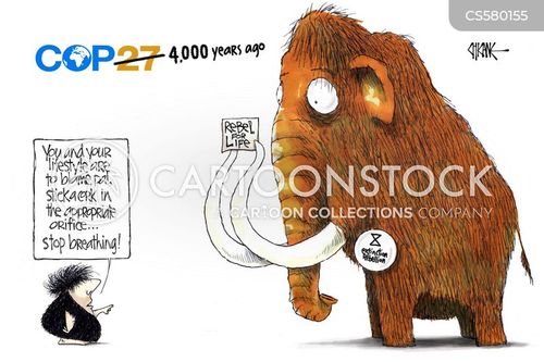 2022 United Nations Climate Change Conference Cartoons and Comics ...