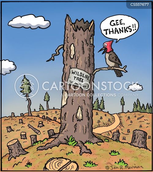 Forest Protections Cartoons and Comics - funny pictures from CartoonStock
